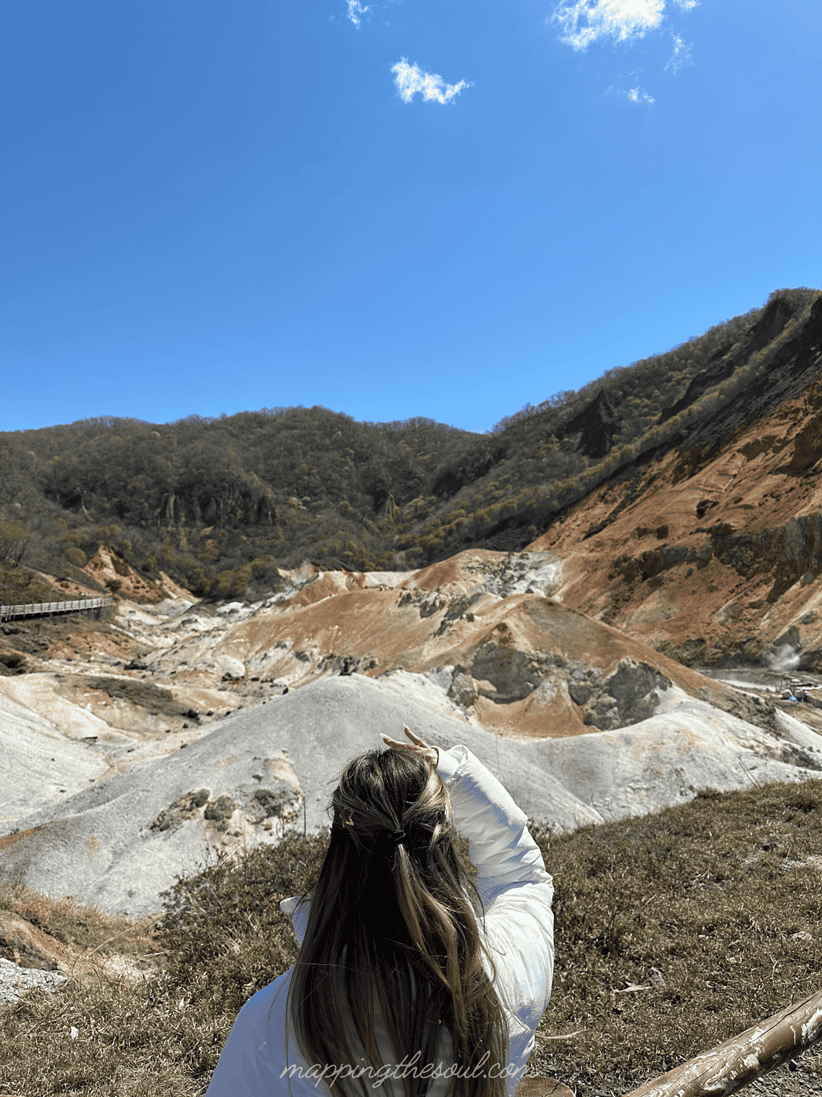 The Best Sapporo Day Tours You Shouldn't Miss