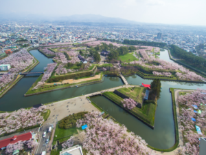 The Best Hakodate Itinerary: Stunning Views And Hokkaido Flavors