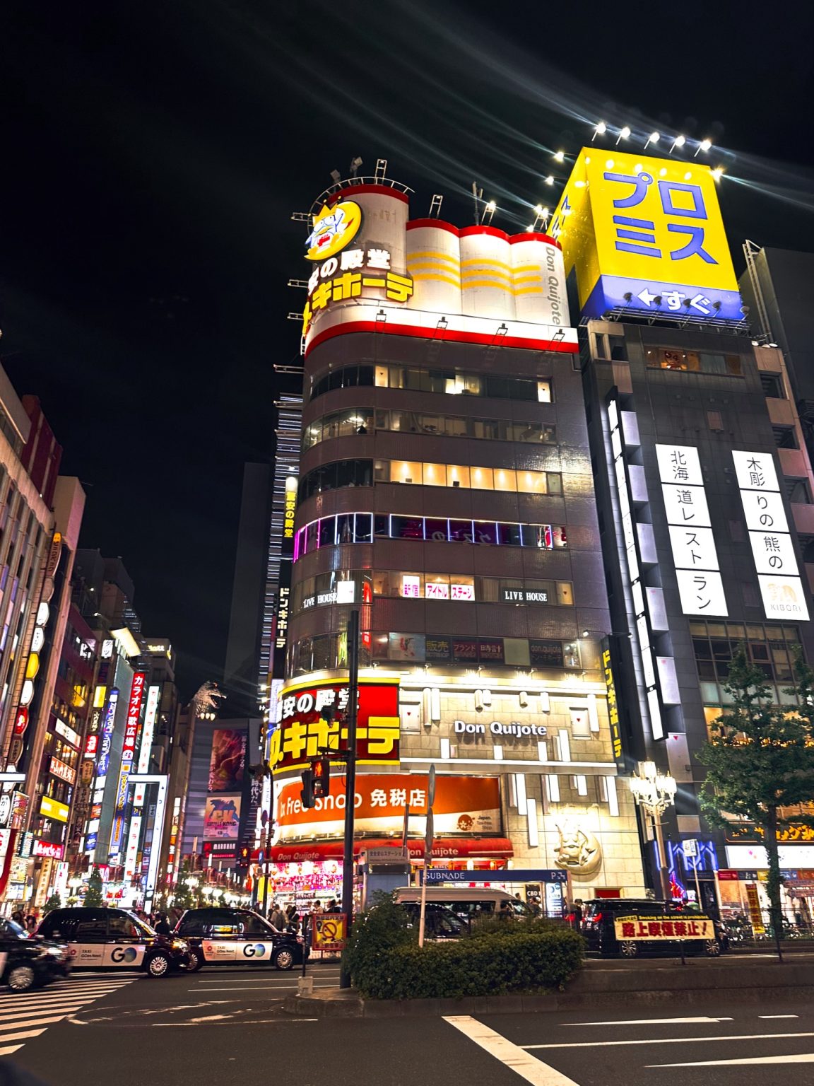 1 Day In Tokyo: The Best 24 Hour Itinerary - get lost in japan