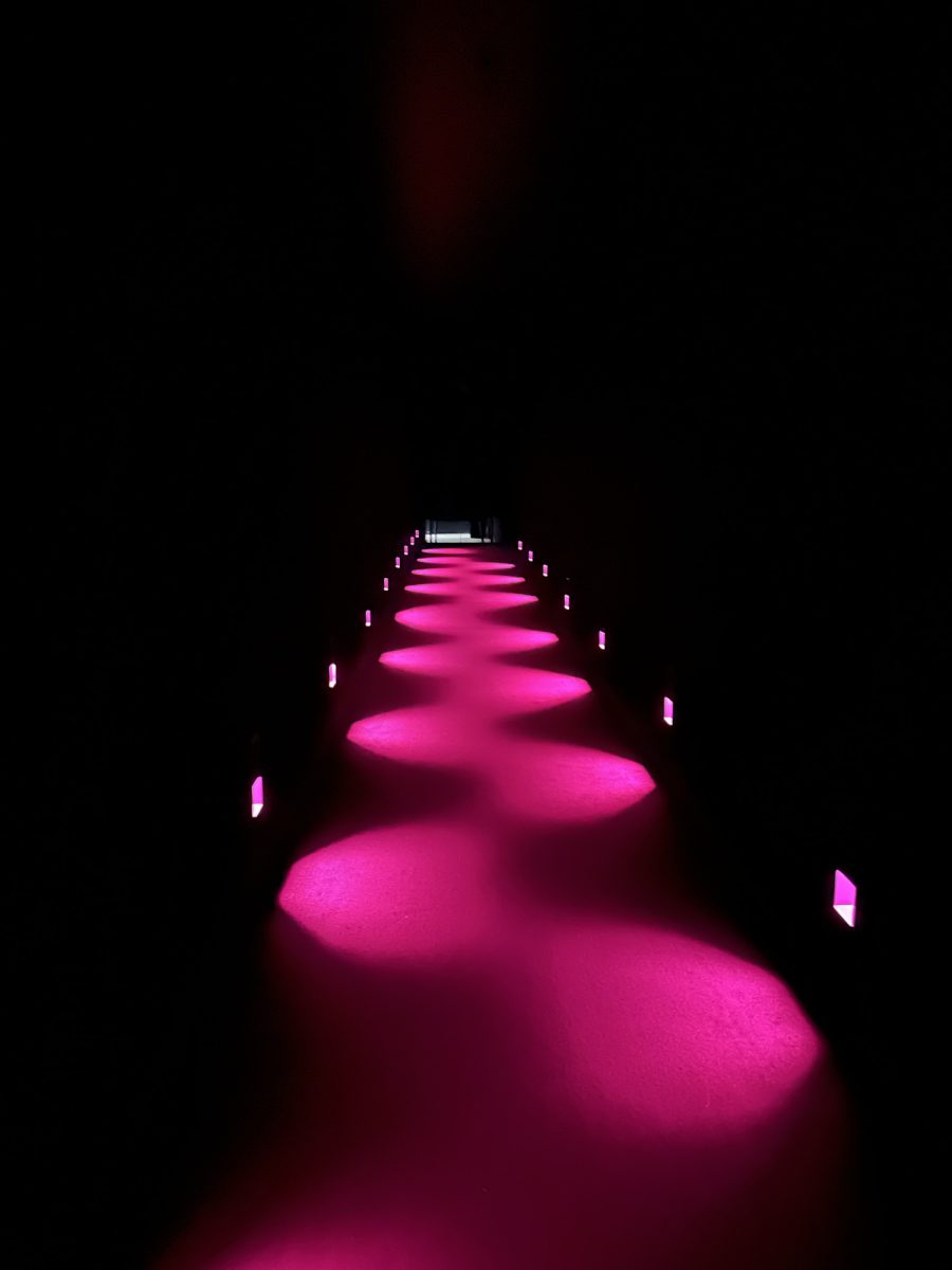 What To Wear To Teamlab Planets: My Outfit And Advice