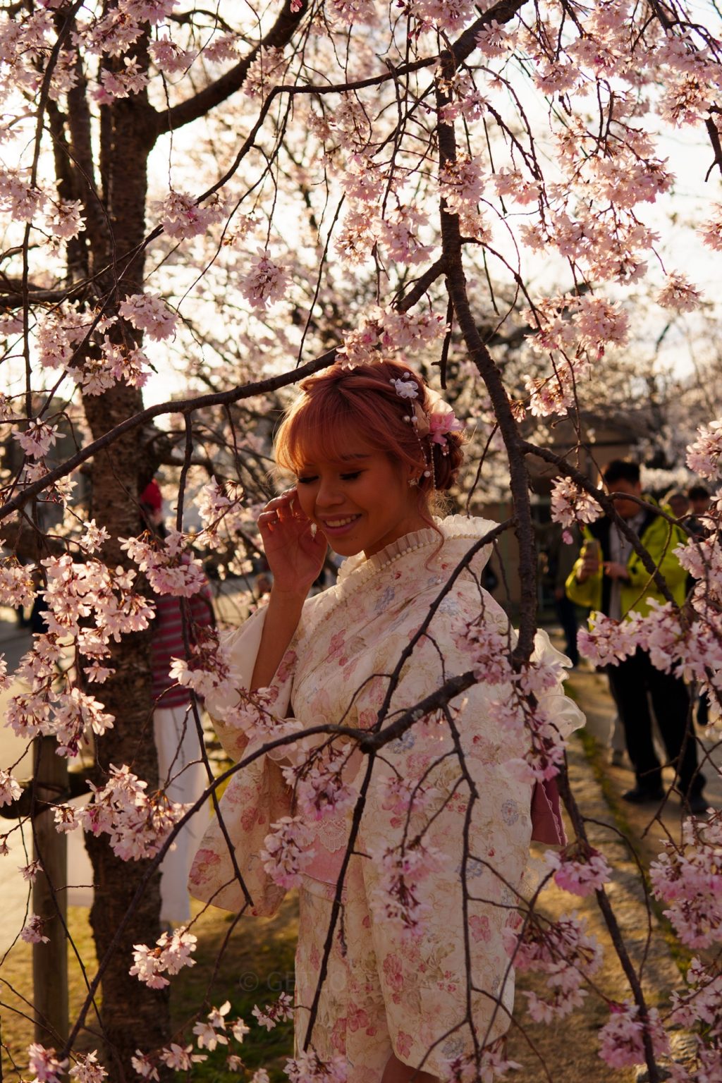 How to Spend ONE DAY in Kyoto: 1 Day Kyoto Itinerary