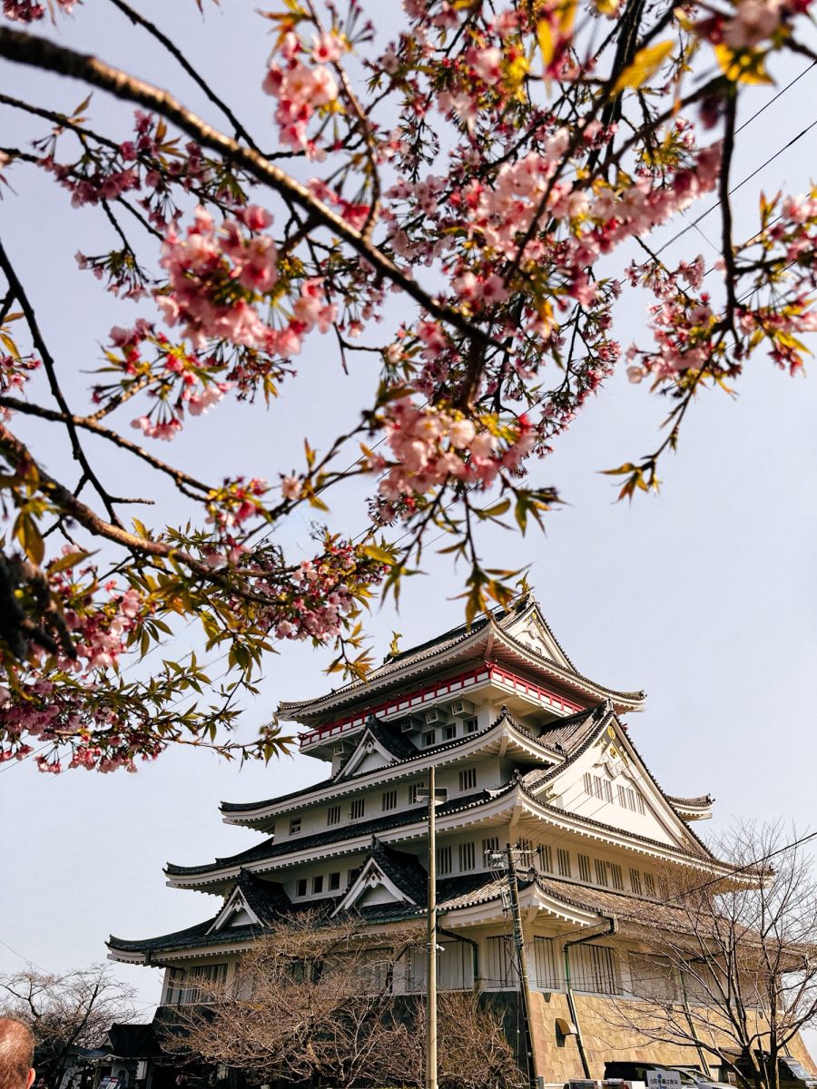 21 Things to do in Atami: A Timeless Seaside Dream