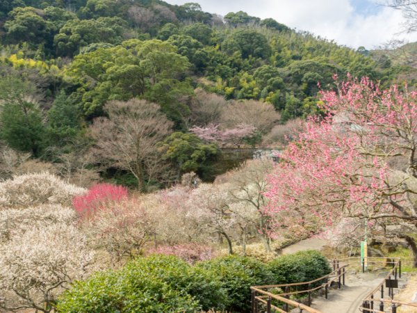 21 Things to do in Atami: A Timeless Seaside Dream