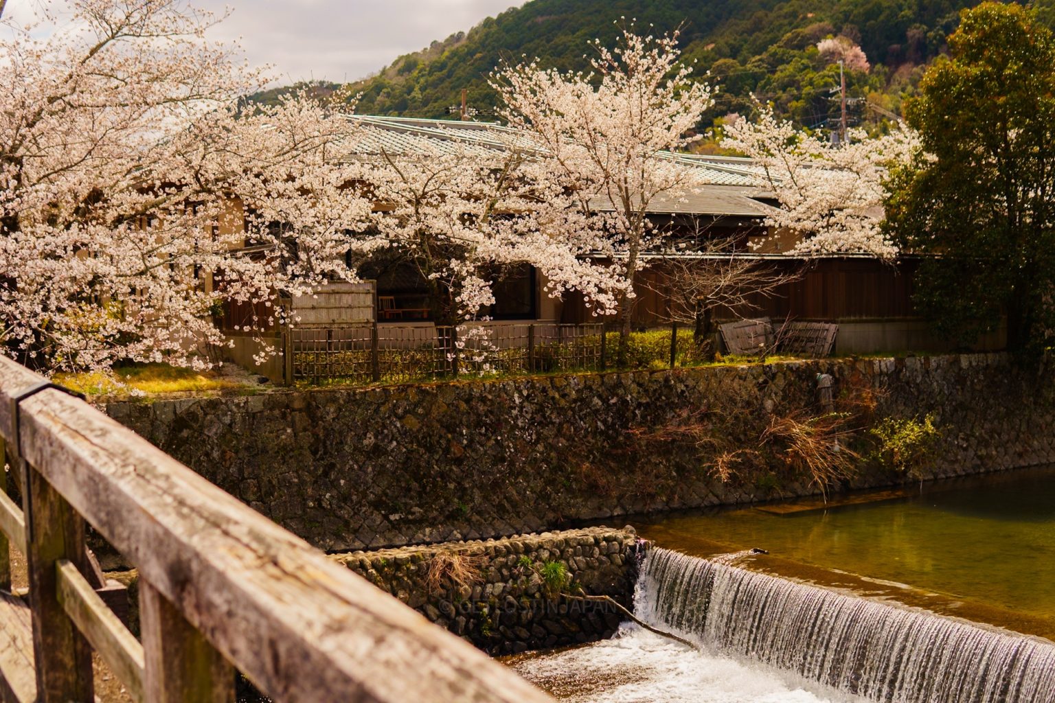 15 Fun Things to Do in Kyoto, Japan